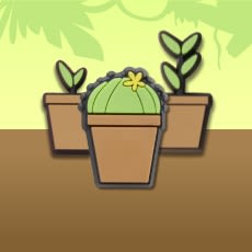 Crocs Jibbitz | Croc Charms & Gems for Shoes | Crocs UK