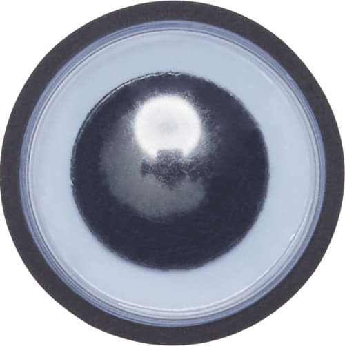 Googly Eye Jibbitz Shoe Charm - Crocs