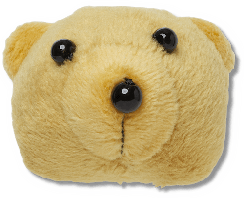 Teddy Bear Face Jibbitz™ charms - Crocs