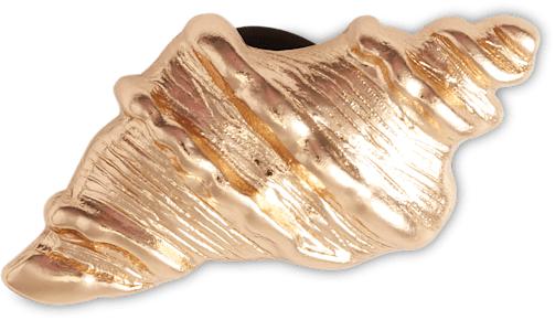 Gold Sea Shell Jibbitz™ charms - Crocs