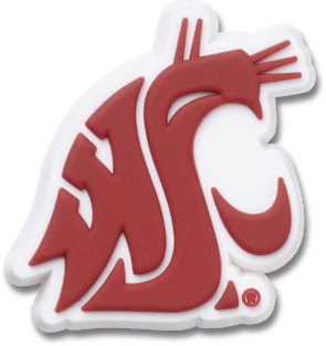 Washington State University Jibbitz™ charms - Crocs