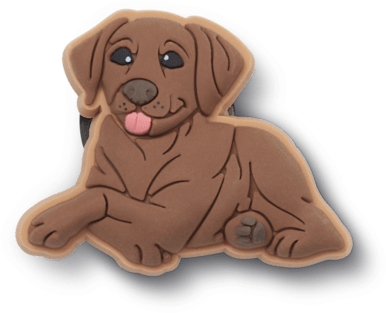 b'Brown Lab Puppy Jibbitz Shoe Charm - Crocs'