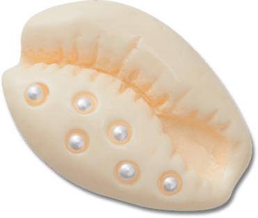 Pearl Puka Shell Jibbitz™ charms - Crocs
