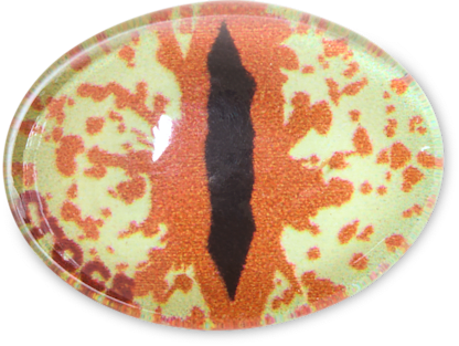 Hazel Animal Eye Jibbitz™ charms - Crocs