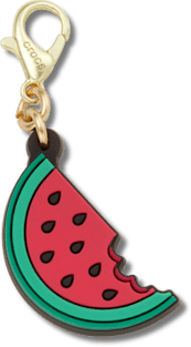 Watermelon Charm Jibbitz Shoe Charm - Crocs