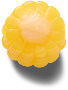 Realistic Corn Jibbitz™ charms - Crocs