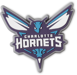 NBA Charlotte Hornets Jibbitz charms Crocs