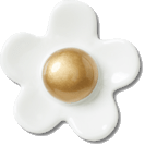 Flower & Nature Jibbitz™: Roses, Cactus, Daisies, & More | Crocs